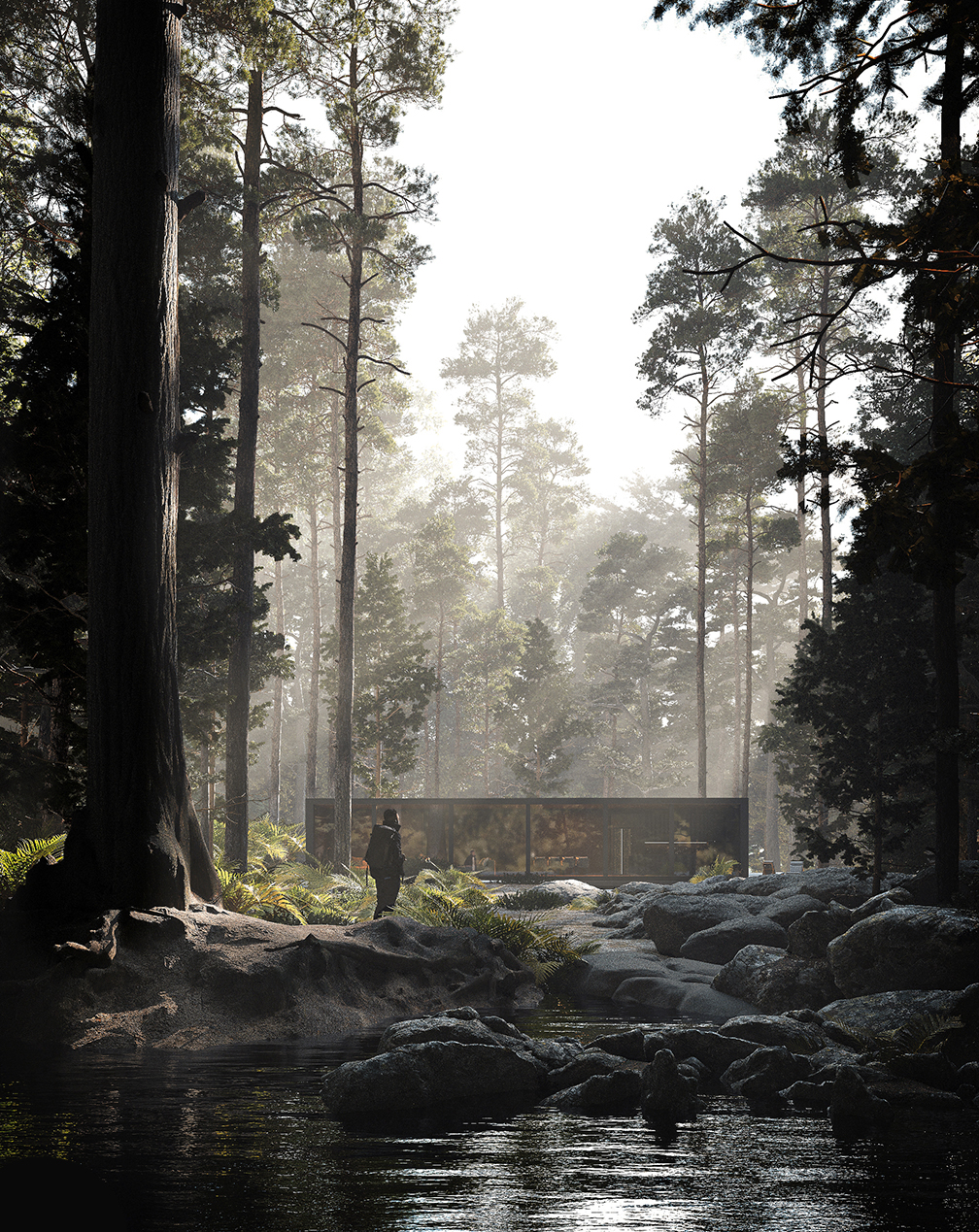 Forest Environment CGI